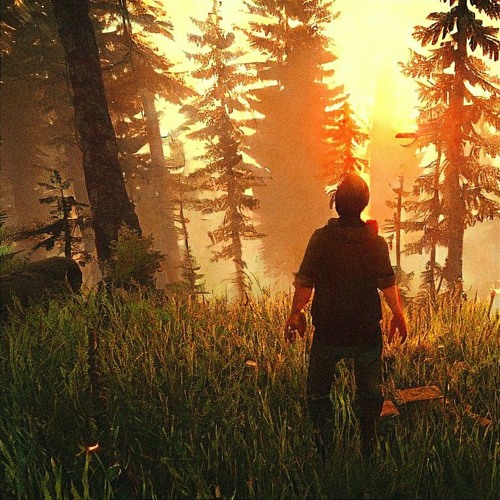 Stream the Forest (game) ost cover by Владимир Ялфимов bolodich ...