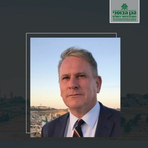 Michael Levin Israel