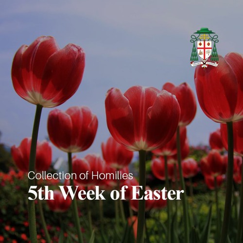Stream ArchKL | Listen to 5th Week of Easter playlist online for free ...