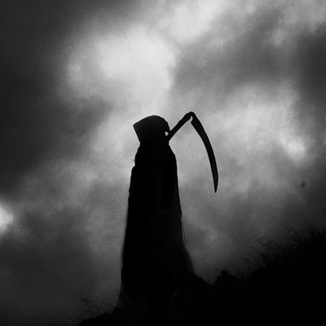 Stream Jxju! x delo - Reap by Jxju! | Listen online for free on SoundCloud