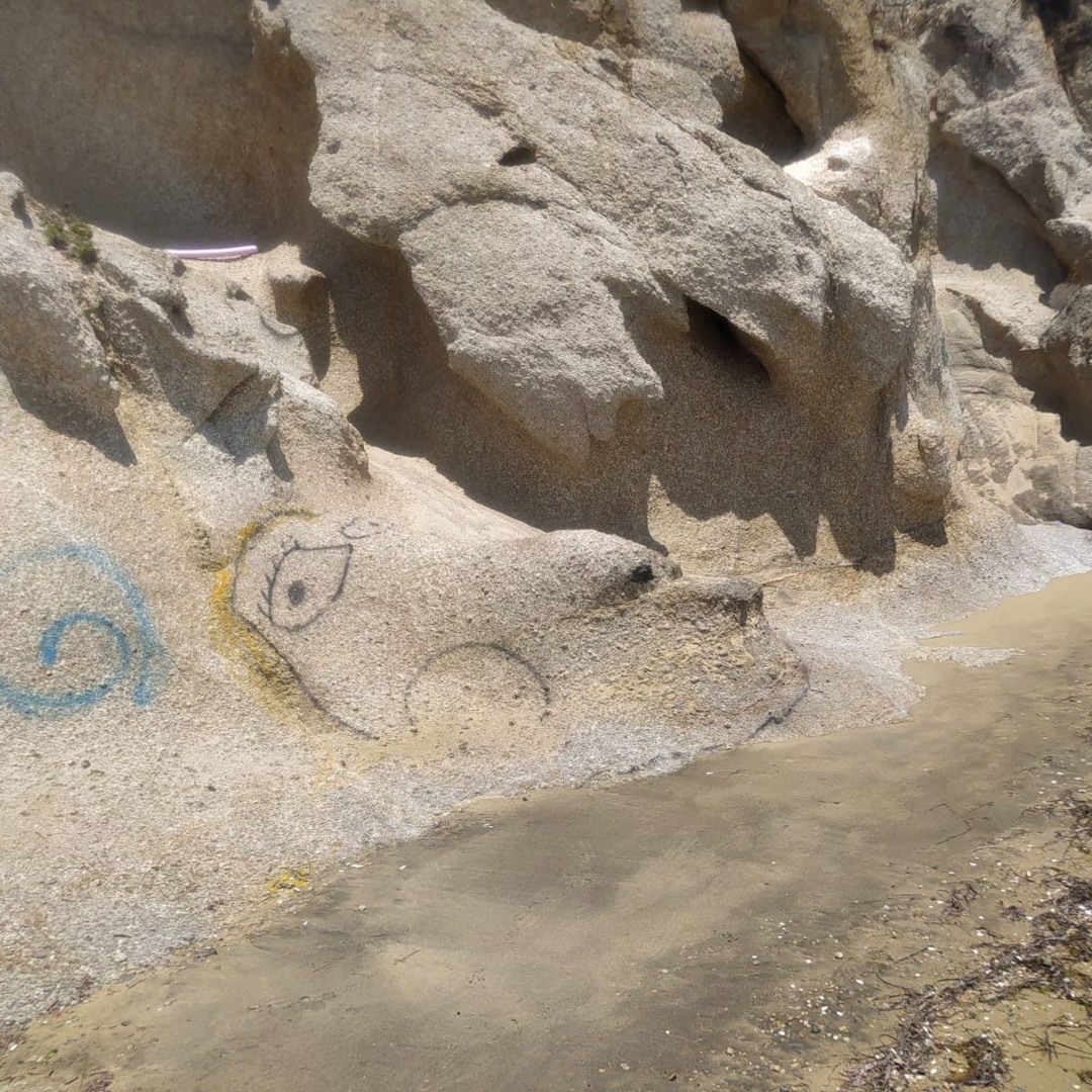 Stream Tarrant by Cemy | Listen online for free on SoundCloud