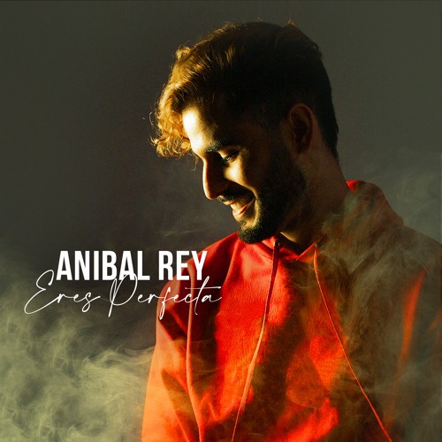 Stream Panela Music | Listen to Anibal Rey - Eres Perfecta playlist ...