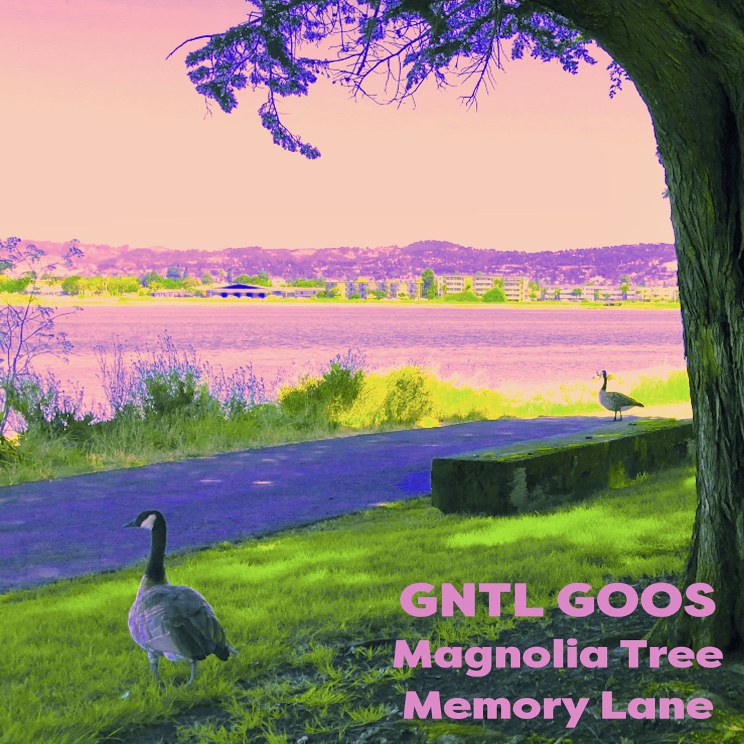 Stream Magnolia Tree by Gaggle World | Listen online for free on SoundCloud