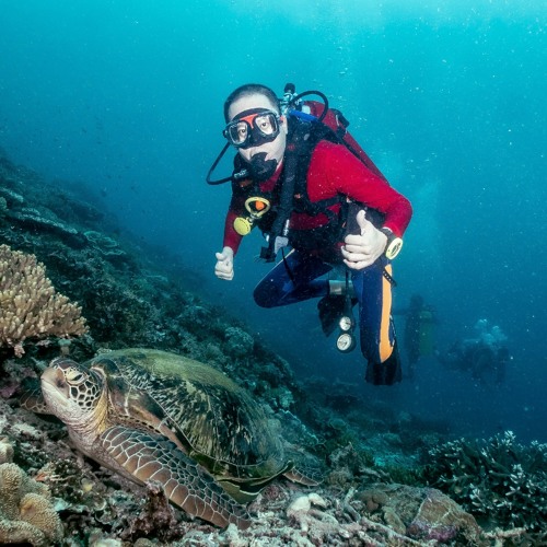 Stream The Dive by Steven Rain | Listen online for free on SoundCloud