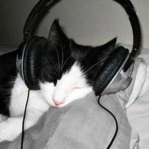 Stream All I need - Lloyd ft. Electric Guitar by ev1lv4mp | Listen ...