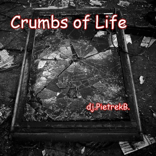 Stream Crumbs of Life by dj.PietrekB. | Listen online for free on ...