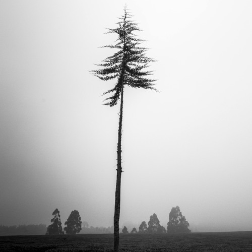 Stream [FREE FOR PROFIT] Freeze Corleone x Osirus Jack Type beat ...