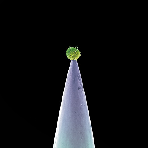 Stream Intruder by Peter Gabriel | Listen online for free on SoundCloud