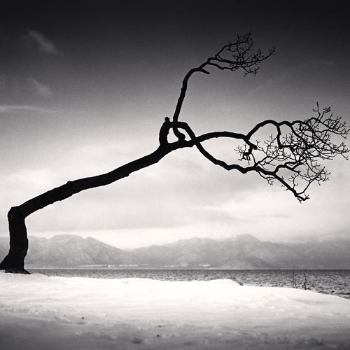 Stream ABEL CARLEVARO Milonga {ca 1950} (The Tree of Forgetfulness) by ...