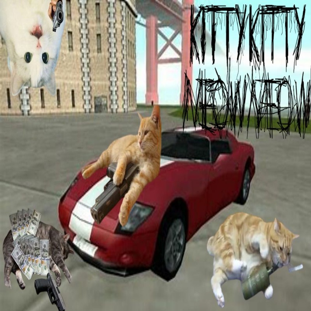 Stream GANGSTA KITTENS by KITTY KITTY MEOW MEOW | Listen online for ...