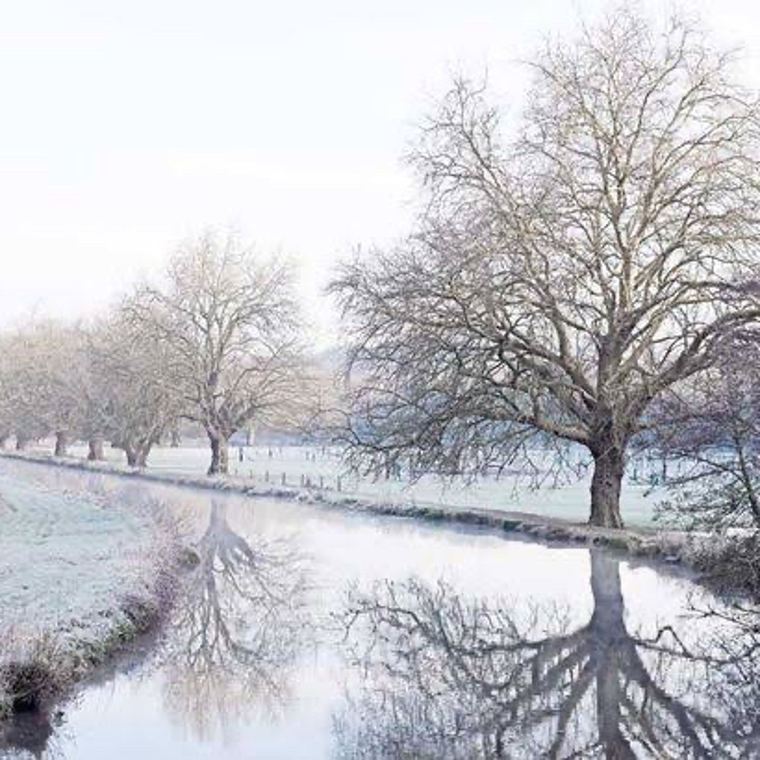 Stream episode February by Gillian Clarke by Anton Jarvis podcast ...