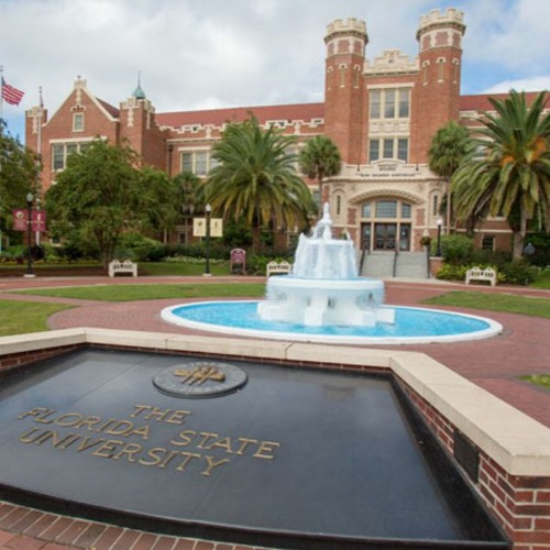 Stream Graduate School Rankings Prove Florida State's Upward Trajectory ...