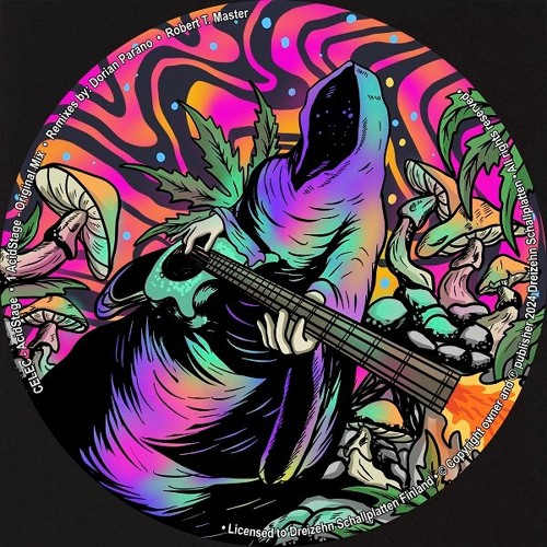 Stream CELEC - AcidStage (Robert T. Master Remix) [Cut] Dreizehn ...