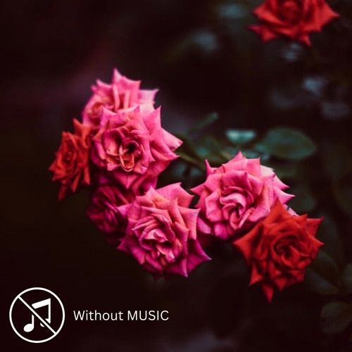 Stream Mamma Thiee Aslee Hiyy Magey - Madhaha- Shalabee.m4a by nanaa ...