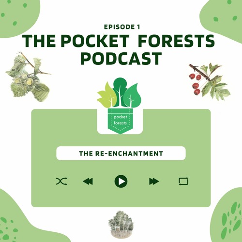 Stream Pocket Forests Podcast Pilot by Pocket Forests | Listen online ...