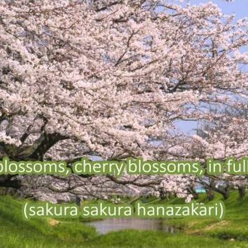 Stream Japanese Folk Song #9: Cherry Blossoms （さくらさくら/Sakura Sakura） by ...
