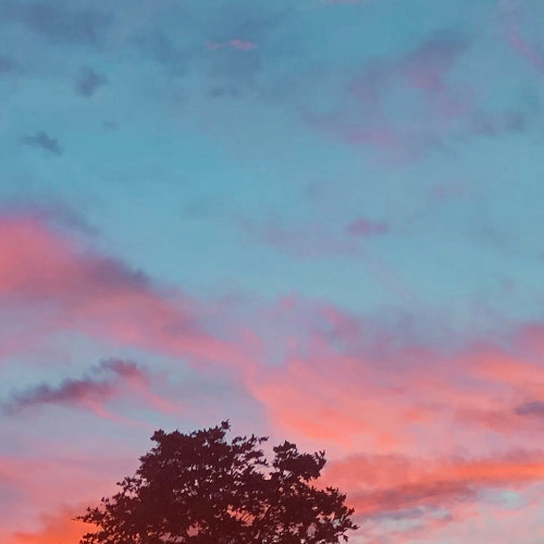 Stream Call Out To Me (3x Osc Challenge) by Berx | Listen online for ...