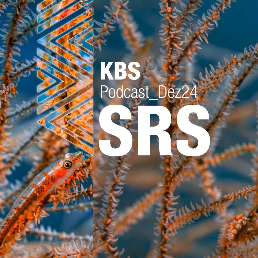 Stream [SRS] @ [KBS Podcast 064] [241228] by kollektiv.blaue.stunde ...