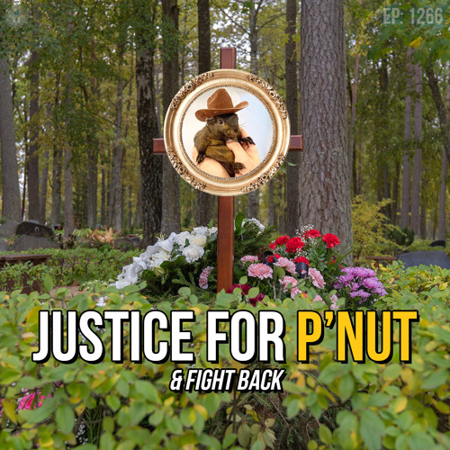 Stream Justice for P’nut & Fight Back | SOTG 1266 by Student of the Gun ...