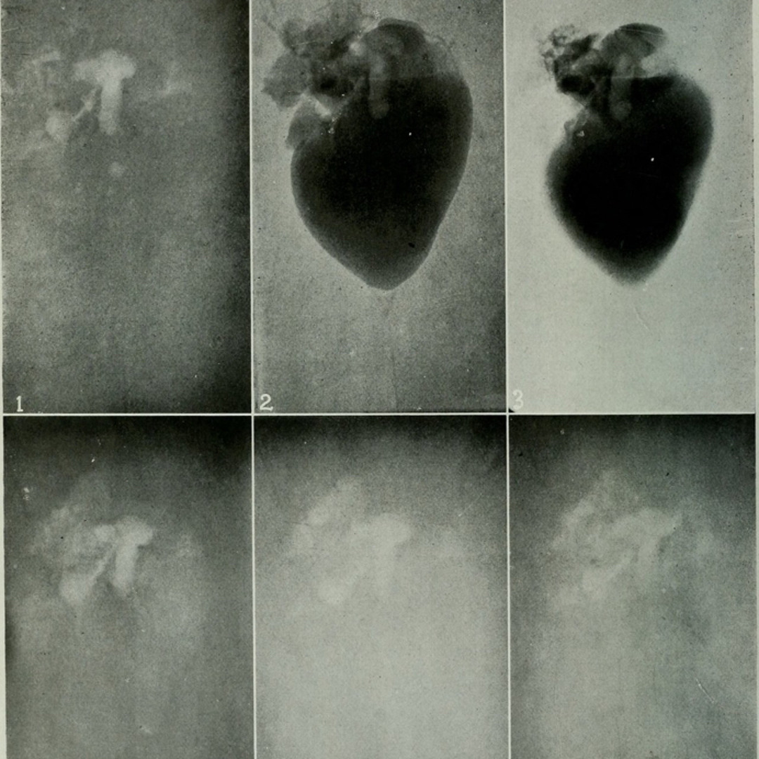 Stream tenkay x starsaga- emotionally defeated pt 2 by starsaga archive ...