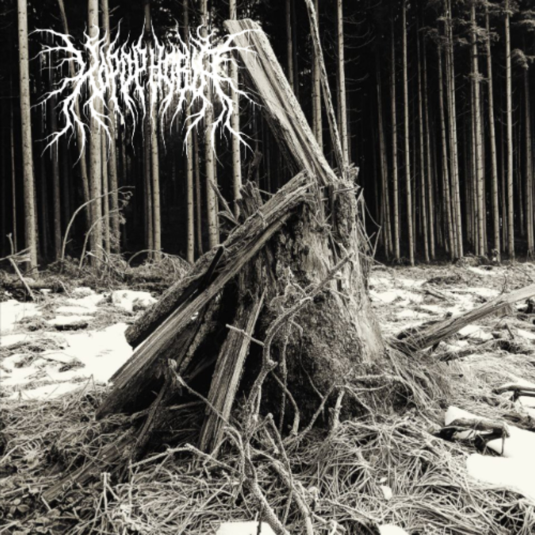 Stream Living Life, In The Night (RMX) - 286bpm - Free DL by KopophobiA ...