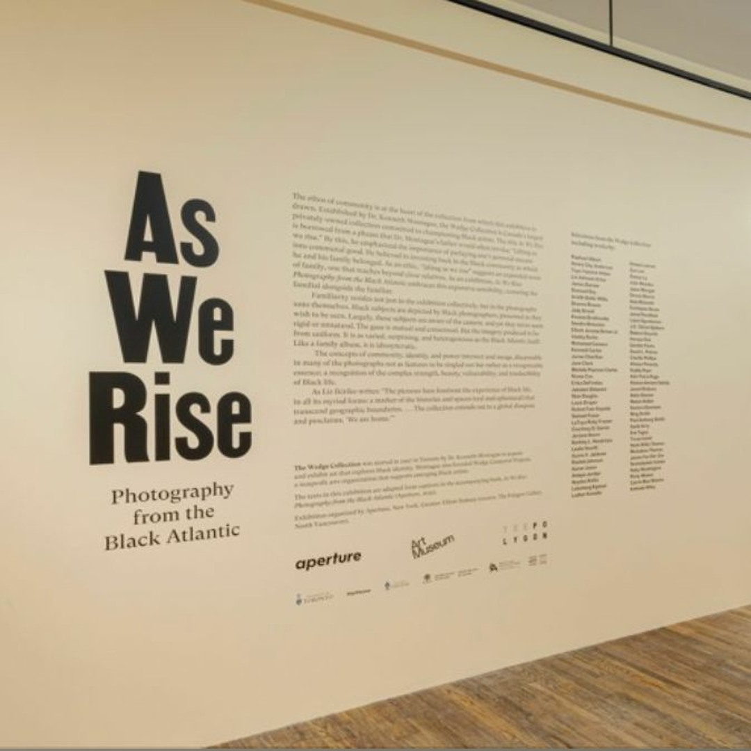 Stream Exhibition Text: Introduction by Dalhousie Art Gallery | Listen ...