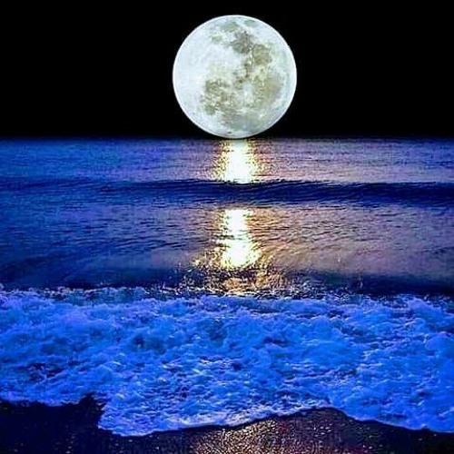 Stream W💫rld Music Listen To Electronic Music • 2024 Playlist Online
