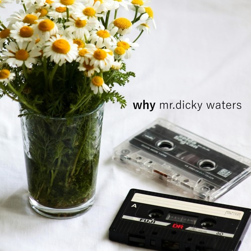 Stream Why {demo} by Mr. Dicky Waters | Listen online for free on ...