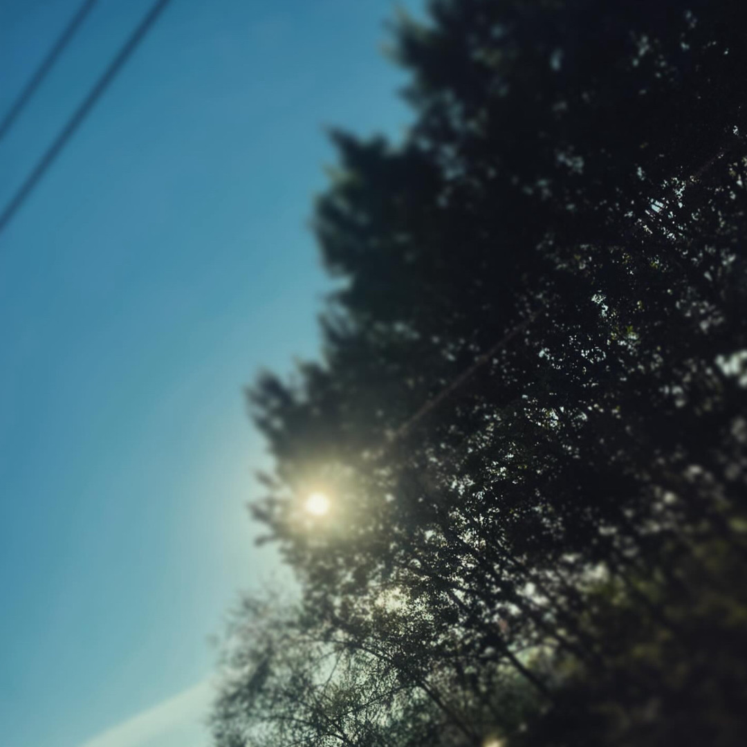 Stream spring pack🌦️🌦️ft. saig bou leoewski pastel zane lynchetti by ...