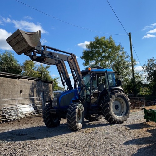 Stream Cathal Lee | Listen to Tune box 🤠🌱 playlist online for free on ...