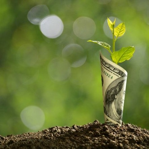 Stream Inspeckta Veg - Growth (prod. Tonejacker) by Inspeckta Veg ...