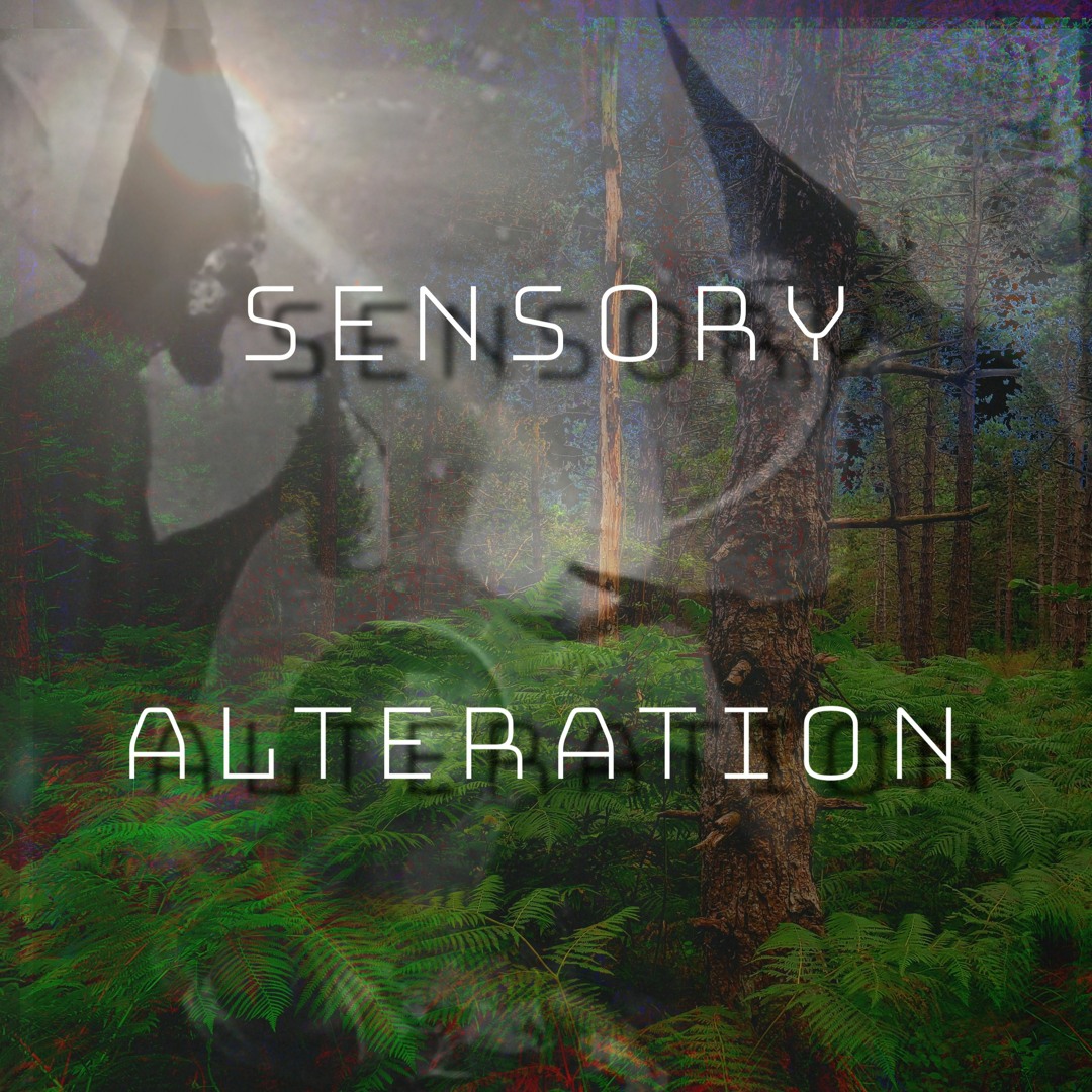Stream [SENSORY ALTERATION] soundtrack by INCISIF | Listen online for ...