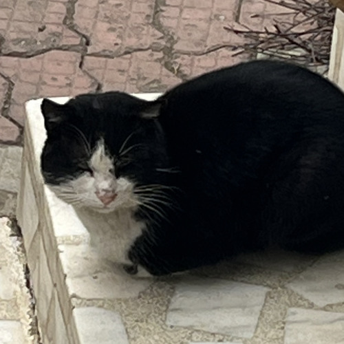 Stream auto w xtsy by User 196848424 | Listen online for free on SoundCloud