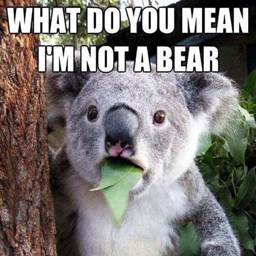 Stream Oliver Heldens - Last All Night (Koala) Jackin Edit [FREE ...