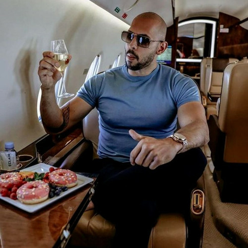 Stream Playlist Beast | Listen to Top G Mood (TopG Music, Top-G Hits ...