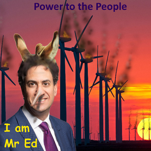 Stream I Am Mr Ed by John McLaughlin | Listen online for free on SoundCloud