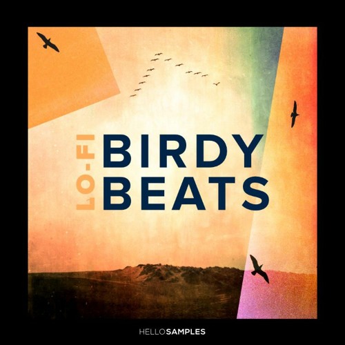 Stream Lo-Fi Birdy Beats - Bird Textures - Sound Pack for ABLETON ...