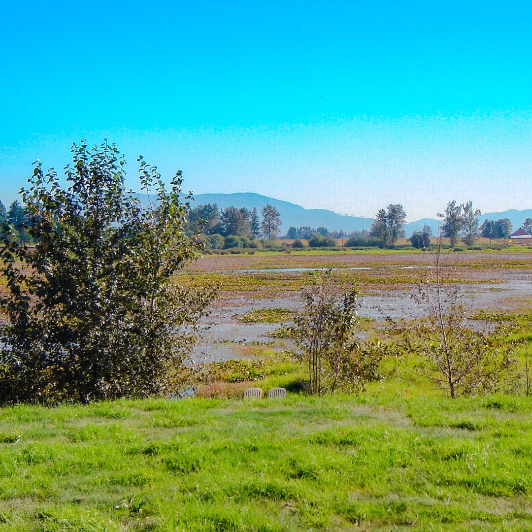 Stream "Parable of The Growing Seed & the Mustard Seed" - Mark 4:26-34 ...