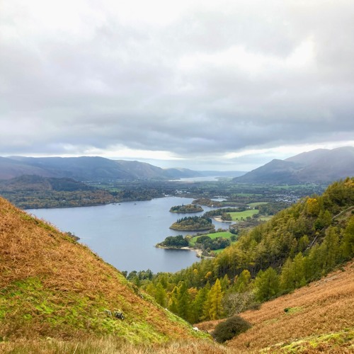 Stream Steamdrop by Geoff Follin | Listen online for free on SoundCloud