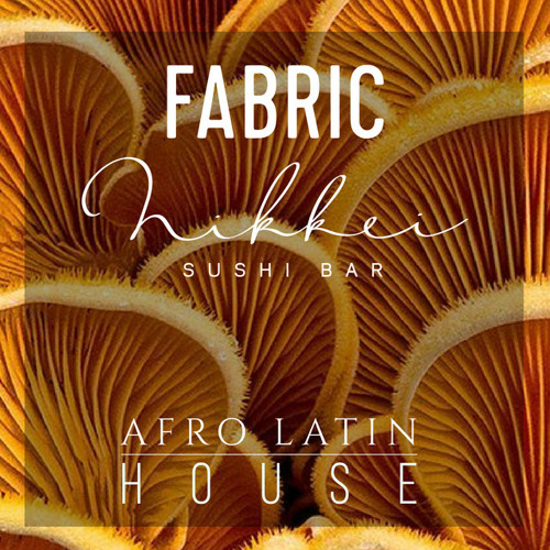 Stream Andy Fleur | Listen to Afro Latin House playlist online for free ... Stream Andy Fleur | Listen to Afro Latin House playlist online for free ...