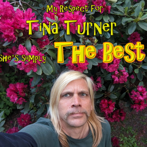 Stream simply "The Best" - Oli Boli - Tina Turner Tribute by Oli Boli ...
