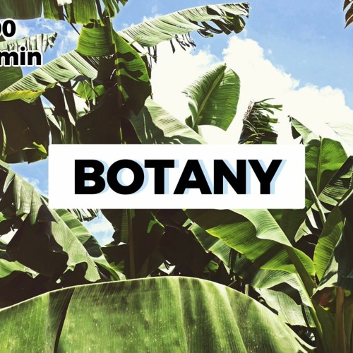 Stream 【フリートラック・Free Music】TypeBeat 『BOTANY』 | Hip Hop | R&B | 90's-00 ...