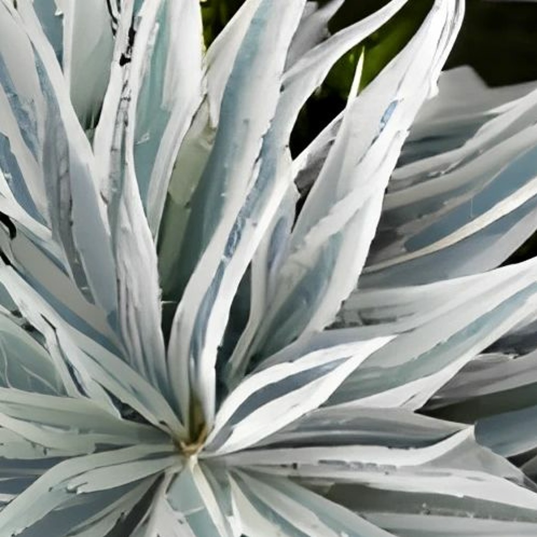 Stream Silver Sun by GAMMA | Listen online for free on SoundCloud