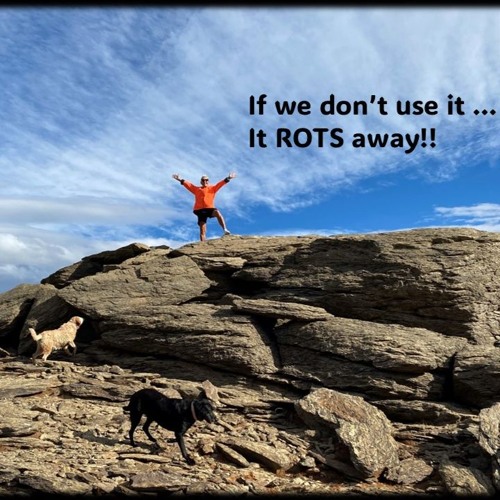 Stream episode Why does the Human Body and Brain Rot Away...with Rowie ...