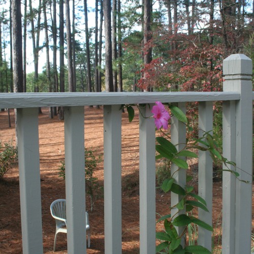 Stream ZOOM0445.MP3 Walk Away Renee - Left Banke Cover by Charlie ...