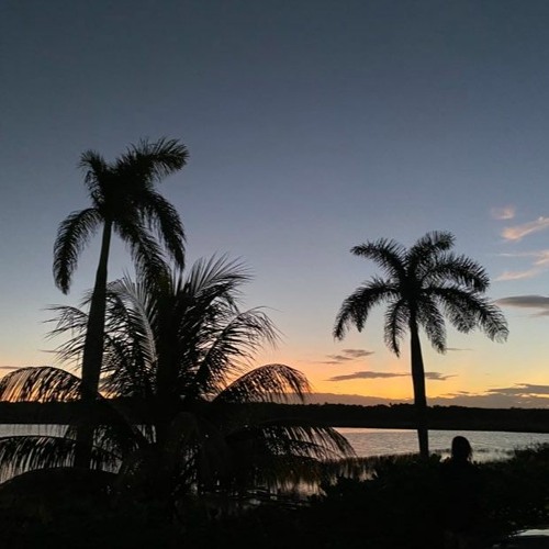 Stream Acid Paradise - JaszyBass Remix by JaszyBass | Listen online for ...