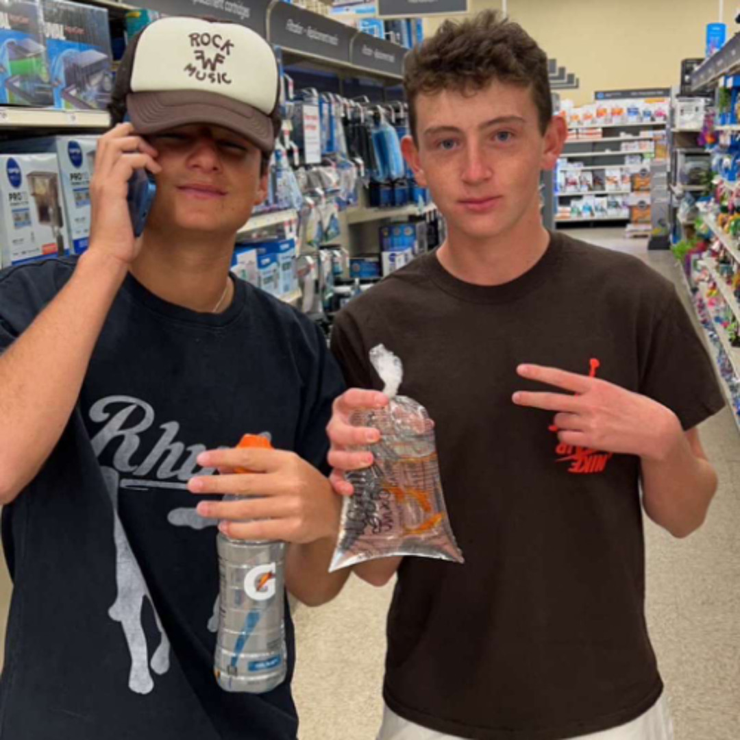 Stream It's Murph - EDC intro (unreleased) by Nathan Gold | Listen online for free on SoundCloud