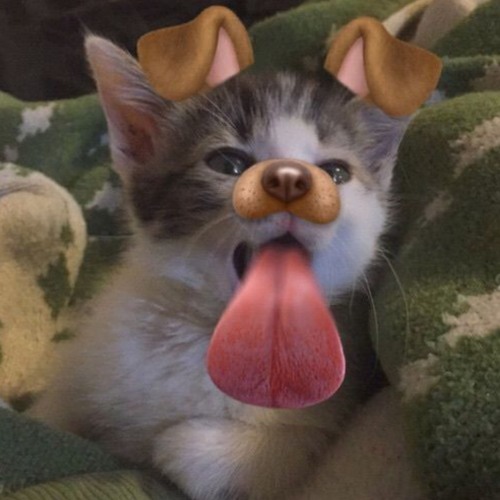 Stream throw by icemop | Listen online for free on SoundCloud