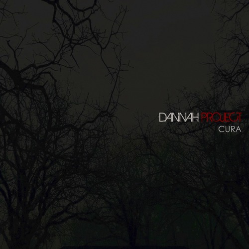 Stream DannaH Project Oficial | Listen to Cura (2021) playlist online ...