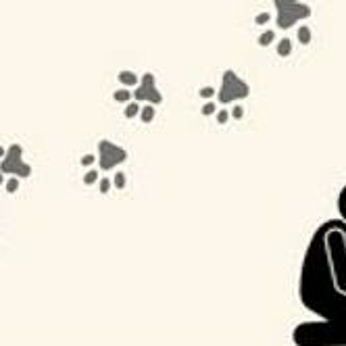 Piona P Candydoll Tv Foto Dog Breeds Picture